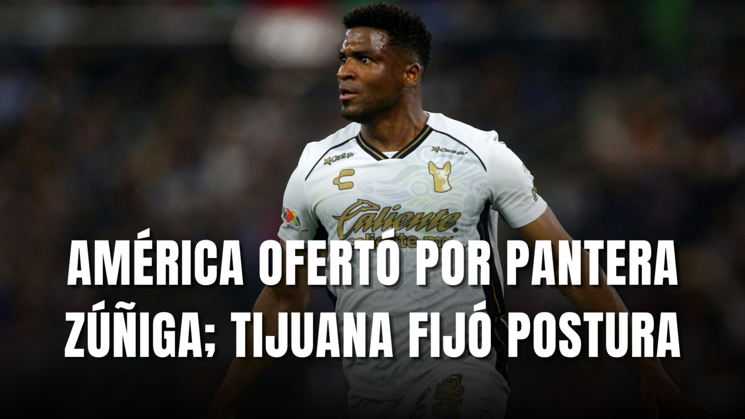 Club América ofertó por Pantera Zúñiga, Tijuana fijó postura